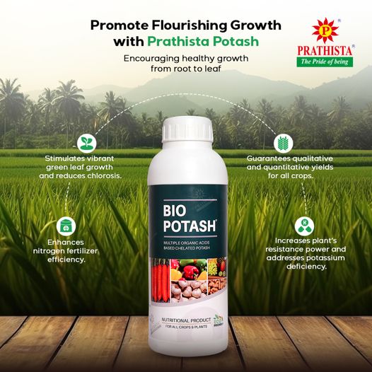Achieve flourishing growth from root to leaf with Prathista Potash ...